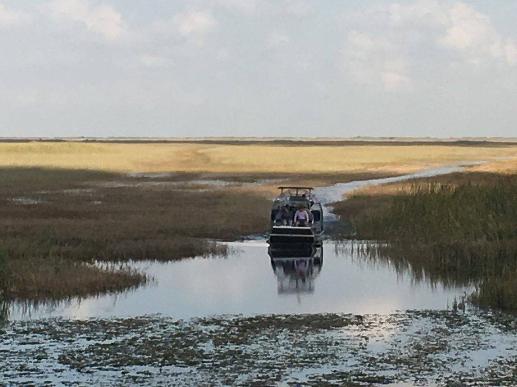 airboat everglades miami - Airboat In Everglades