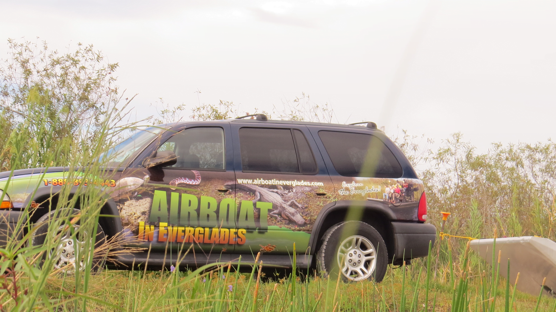 southern airboat - Airboat In Everglades
